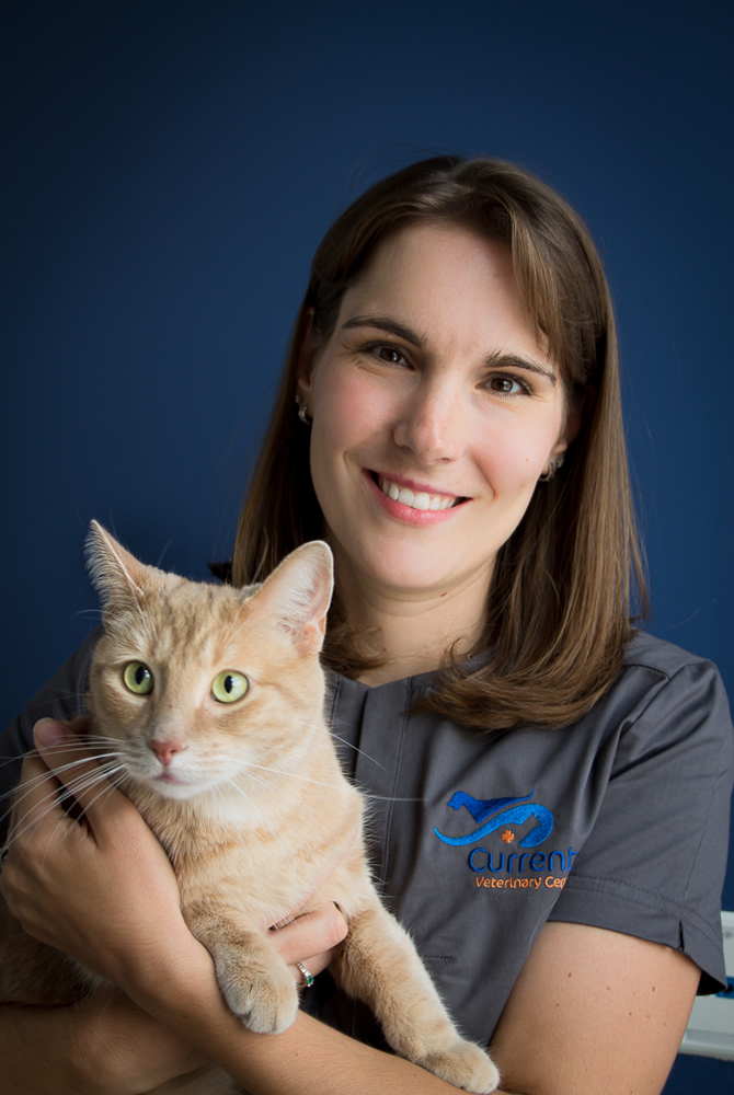 Our Team | Vet Services & Pet Wellness | Erin Ridge Veterinary Centre